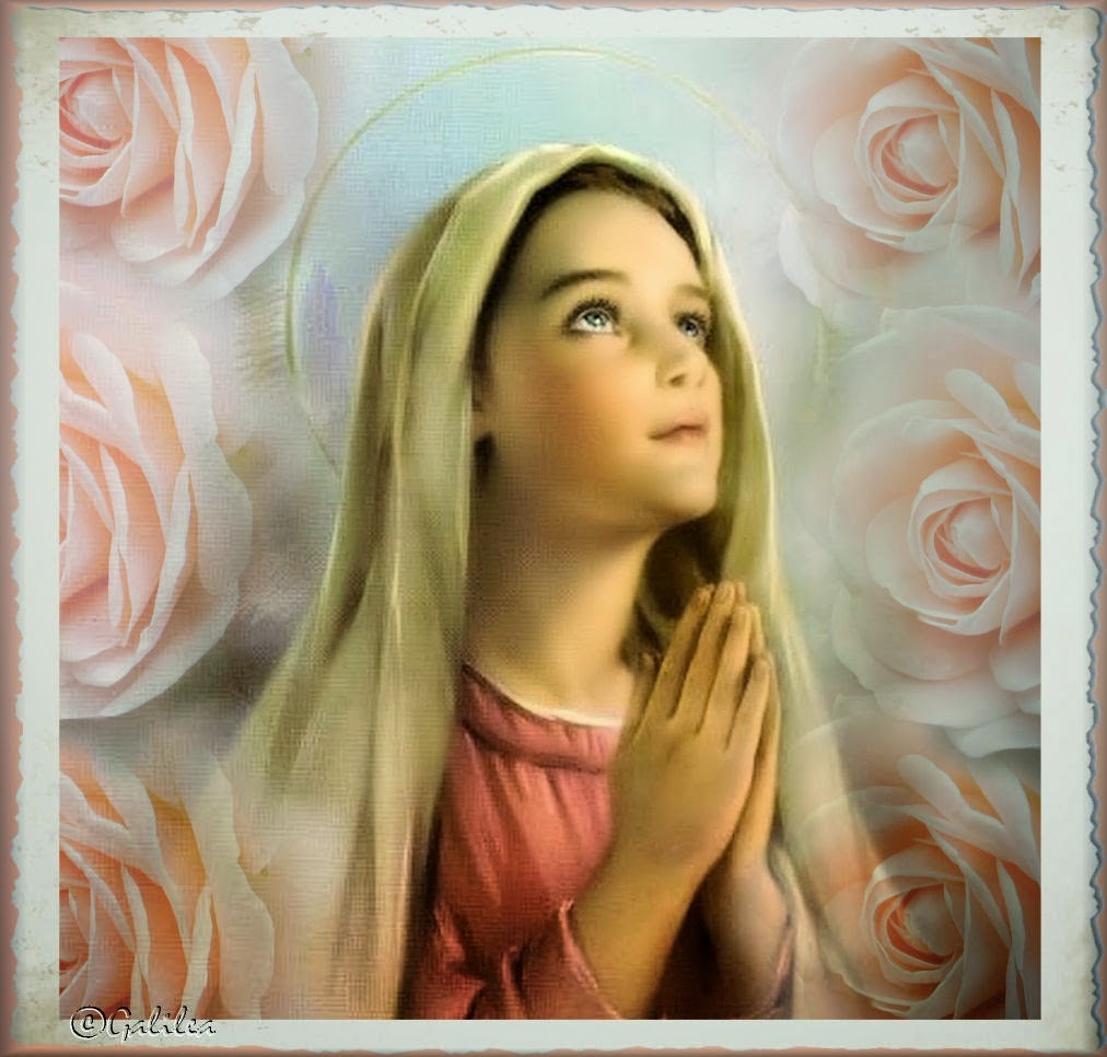 Natividad de la Santísima Virgen María – Minutos De Amor